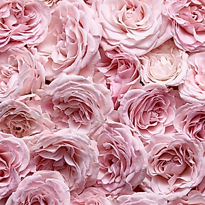 Escada Especially Eau De Parfum Spray, 1 Fl Oz