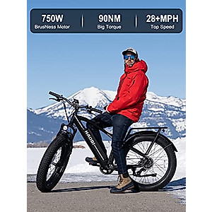 HAOQI Electric Bike for Adults 48V 20AH Removable Cells Battery Black Leopard Pro, 750W Brushless Motor, 26" x 4.0 Fat Tire 28MPH, 7-Speed