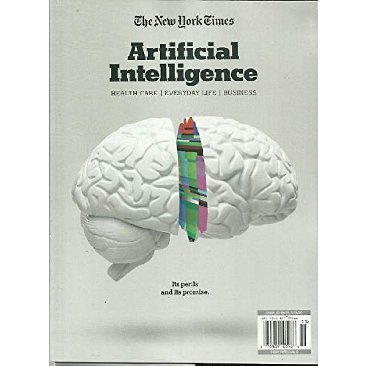 THE NEW YORK TIMES MAGAZINE, ARTIFICIAL iNTELLIGENCE SPECIAL ISSUE, 2020