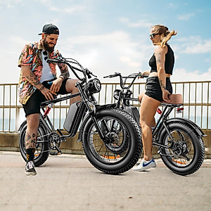 LONG SENG Adult Electric Bike 1000W 35MPH, 48V 20AH Removable Battery Electric Bicycle, 7-Speed eBike 20"x4.0"Adult Electric Bicycle Commuter Electric Bike Passed UL Certification (48V 20AH, Black)