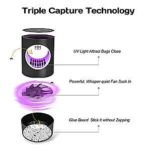 BANPESTT Fruit Fly Traps for Indoors - Bugs Trap Catcher & Killer for Mosquito, Gnat, Moth - Catch Flying Insect with Attractive Lighting,Suction & Sticky Glue Board(Black)