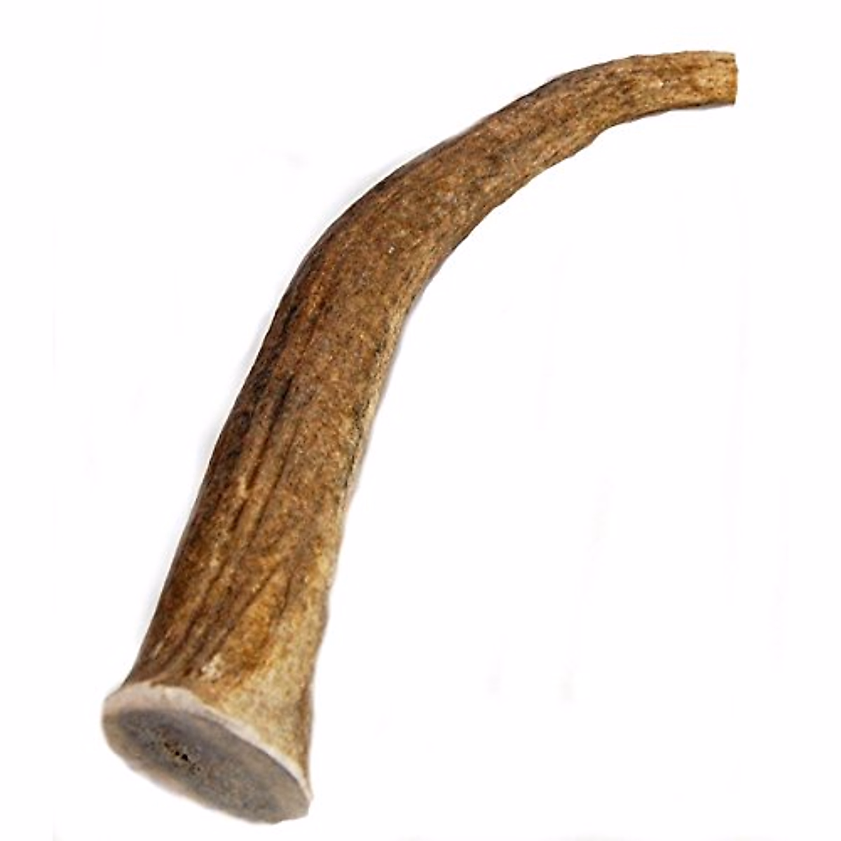 Big Dog Antler Chews Elk Antler Dog Chew, Extra Large Tine, 8 inches to 12 inches, XL - Great for Your Large to Extra Large Dogs and Puppies Brand