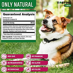 Cat & Dog Natural UTI Medicine & Urinary Tract Infection Treatment with Cranberry - Kidney + Bladder Support Supplement - Best Prevention for Urine Incontinence & Bladder Stones - Pet Renal Health