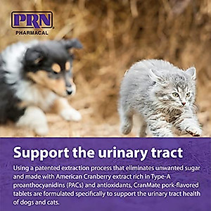 PRN Pharmacal CranMate Cranberry Supplement - Chewable Cranberry Extract Nutritional Supplements for Dogs & Cats - Cranberry Urinary Tract Health - 60 Chew Tabs