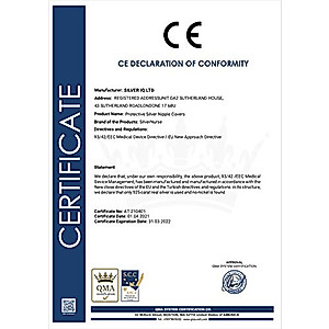 Silver Nursing Cups Nipple Cover Nipple Soother for Newborn Breastfeeding Moms, The Original 925 Silver Nursing Cups