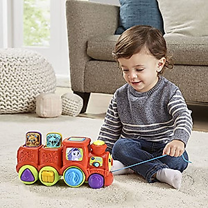 VTech Pop and Sing Animal Train