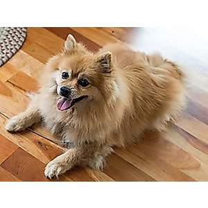 Dog Skin and Coat Supplements - Dog Hair and Coat Health Complex - Healthy Skin and Nails - Itch Relief - Powerful - Vitamin a for Dogs - 120 Treats (2 Bottles)