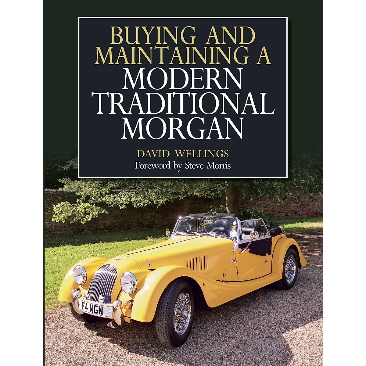 Buying and Maintaining a Modern Traditional Morgan