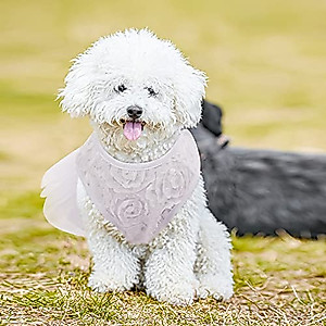 ASENKU Dog Dress Pet Wedding Dress Princess Lace Puppy Birthday Party Outfit Formal Apparel Girl for Small Medium Dogs Cats (XX-Small, White)