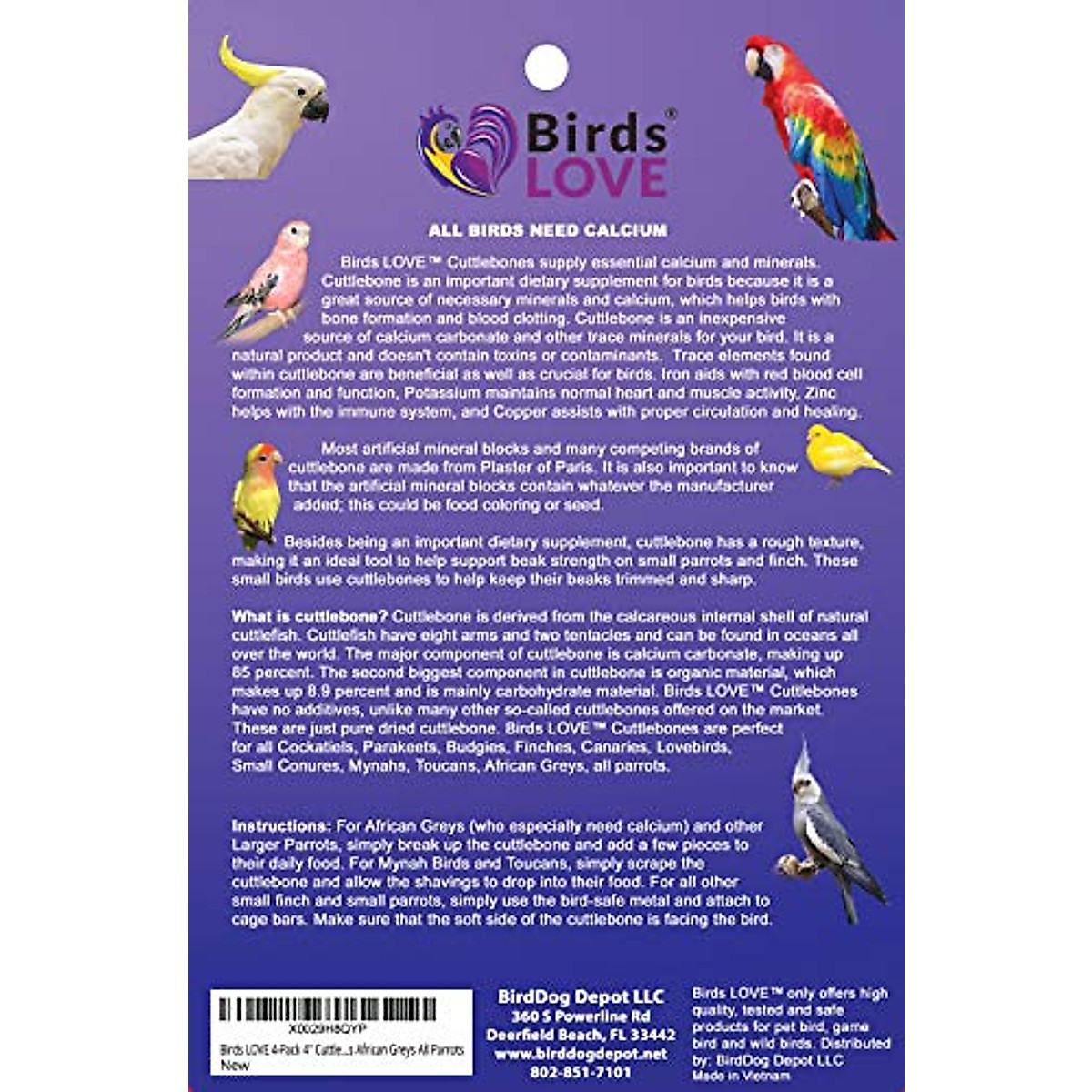 Birds LOVE Natural Cuttlebone – Premium Calcium & Trace Mineral Supplement for Avian Species, Tortoises, and Snails – Pure Cuttlebone for Parakeets, Cockatiels and All Birds | 4-Pack - Size 3.5 to 4"