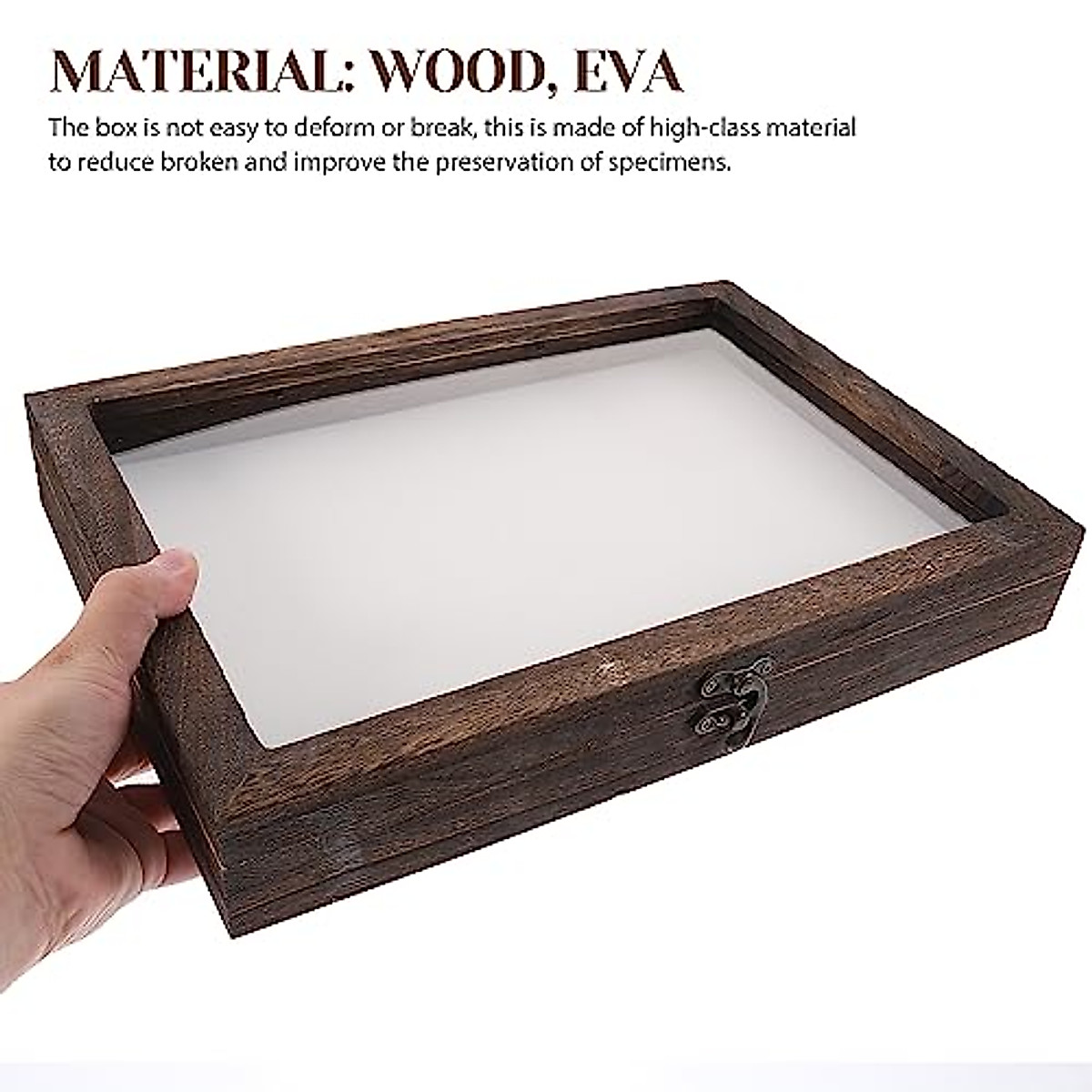 Cabilock Insect Display Case Wooden Bug Collection Box with Clear EVA Top Insect Shadow Box Insect Specimen Storage Box for Home