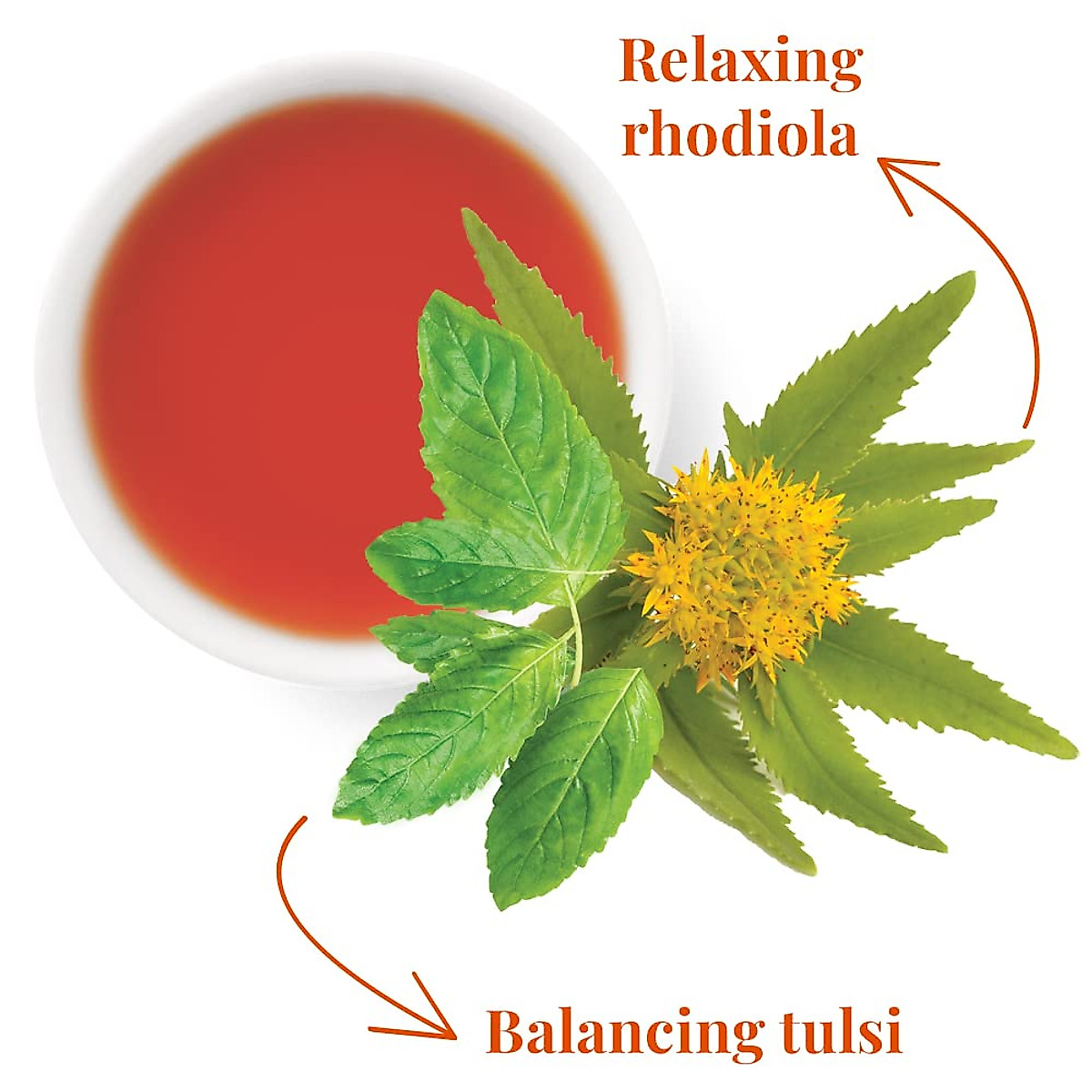 The Republic of Tea - SuperAdapt Stress Suppress Herbal Tea, 36 Tea Bags, Organic, Caffeine Free, Tulsi and Rhodiola Herbal Tea