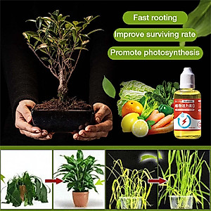 Plant Growth Enhancer Supplement, Rooting Hormone Supplement, 2023 New Plant Growth Enhancer Supplement for Plant Promotes Rooting, Grow New Plants from Cutting (3PCS)