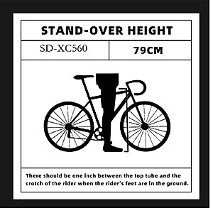 EUROBIKE XC560 700C Road Bike 21 Speed Gears for Adult Road Bicycle XL (Fresh Green)