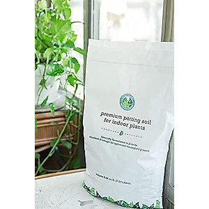Indoor Plant Soil