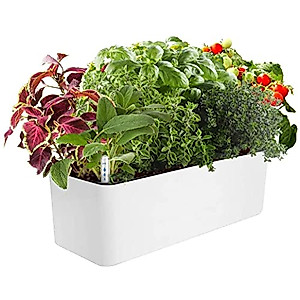 J&C Self Watering Planter, Window Gardening Box, 16x 5.5 Inch, Indoor Home Garden, Modern Decorative Planter Pot for All Indoor Plants, Rectangle, White (Plants Not Included)
