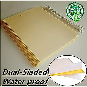 20 Count Dual Yellow Sticky Traps 8 X 6 Inch Set for Flying Plant Insect Like Fungus Gnats, Aphids, Whiteflies, Leafminers -Included 20pcs Twist Ties