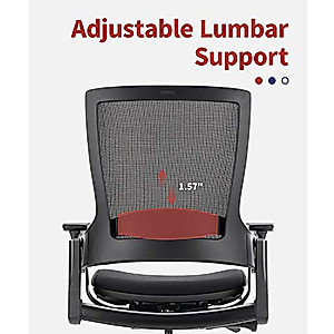 CLATINA Ergonomic High Swivel Executive Chair with Adjustable Height 3D Arm Rest Lumbar Support and Mesh Back for Home Office Black BIFMA Certification No. 5.1