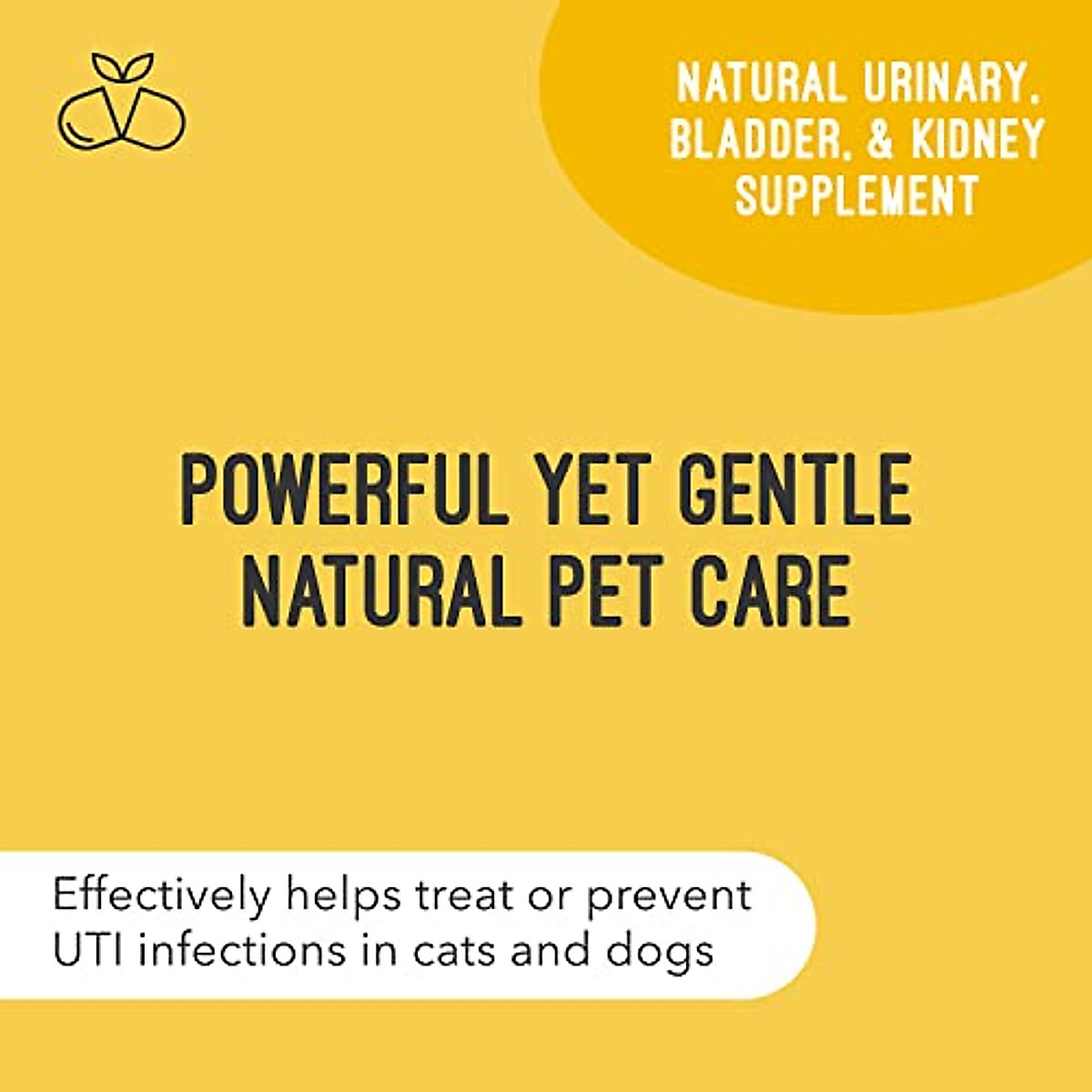 UroMAXX, Cat & Dog Urinary Tract Infection Treatment, Bladder & Kidney Support for Dogs and Cats, Powerful yet Gentle Pet Care, With Liquid Cranberry & Glucosamine, Chicken Flavor, 6 oz Bottle, 1 Pack