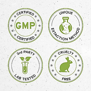 Secrets of the Tribe - UTI Secret, Urinary Tract Formula, Herbal Supplement Blend (60 Capsules)