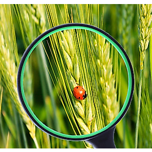 TANCH 5X Magnifying Glass Handheld Magnifier with Large 100mm Magnifying Glass Lens and Non-Slip Rubber Handle for Senior and Kids (1PC Green)