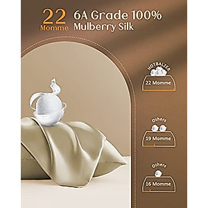 100% Mulberry Silk Pillowcase for Hair and Skin 22 Momme 6A Silk Pillow Case Zippered Soft Smooth Cooling -Standard Size 20"X 26"-with Eye Mask and Laundry Bag, Luxury Gift Set(Beige 1pc)