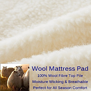 100% Wool Fleece Fitted Mattress Cover Pad with Elastic Bands,Breathable Lamb Wool Mattress,Thicken Pure Wool Bed Topper,Folding Lamb Velvet Mattress,for Twin/Full/Queen/King(Queen(150x200cm), White)
