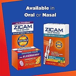 Zicam Cold Remedy Nasal Swabs with Cooling Menthol & Eucalyptus, 20 Count (Pack of 1)
