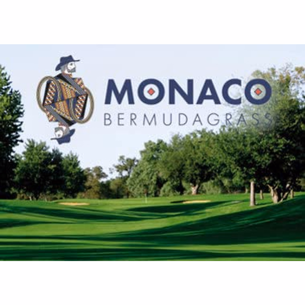 Monaco Bermuda Grass Seed (50 lbs.)