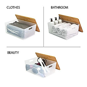 Isaac Jacobs 2-Pack XL Clear Storage Bin Set w/Cut-Out Handles and Bamboo Lid, Plastic Organizers for Home, Pantry, Kitchen, Closet, Office, Home Décor, BPA Free, Food Safe (Extra-Large, Clear)