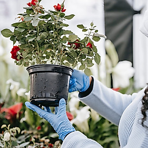 TitanFlex Nitrile Exam Gloves, Blue, 6-mil, Small, Box of 100, Heavy Duty Nitrile Gloves Disposable Latex Free, Powder Free, Medical Gloves, Cooking Gloves, Mechanic Gloves, Cleaning Gloves