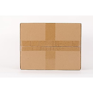 Bonvoisin Precision Scale 10kgx0.1g Digital Lab Scale Accurate Electronic Balance Portable Laboratory Analytical Balance Industrial Counting Scale Jewery Kitchen Scale CE Certified(10kg, 0.1g)