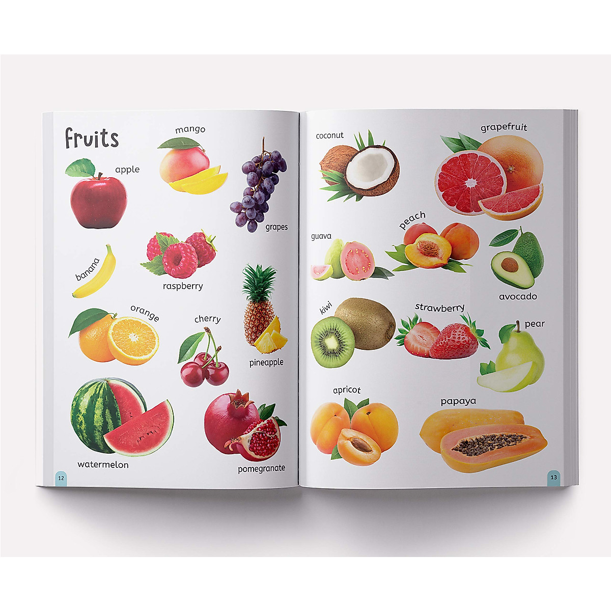 My First 500 Words: Early Learning Picture Book