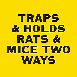 Pic Professional-Strength Rat & Mouse Glue Boards (2 Pack)