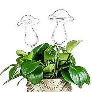 Kingbuy Self Watering Globes Plant Waterer Device Mushroom Shape Hand Blown Clear Glass Bulb for Indoor Outdoor Plants, 4 Pack