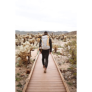 ALPS Mountaineering Gray/Apricot, 40L