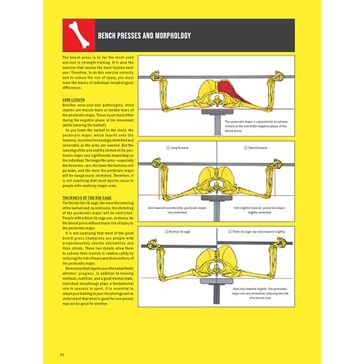 Strength Training Anatomy