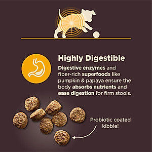 Wellness CORE Digestive Health Dry Puppy Food with Wholesome Grains, Highly Digestible, for Dogs with Sensitive Stomachs, Made in USA with Real Chicken (Puppy Under 1 Year, 4-Pound Bag)