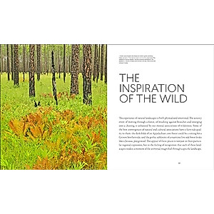 Planting in a Post-Wild World: Designing Plant Communities for Resilient Landscapes