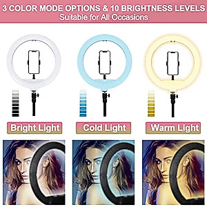 Diandian 360 Photo Booth Machine 80cm with Software for Parties with Ring Light,Flight Case,Free Logo Customization, APP Remote Control Automatic Slow Motion 360 Spin Camera Video Booth