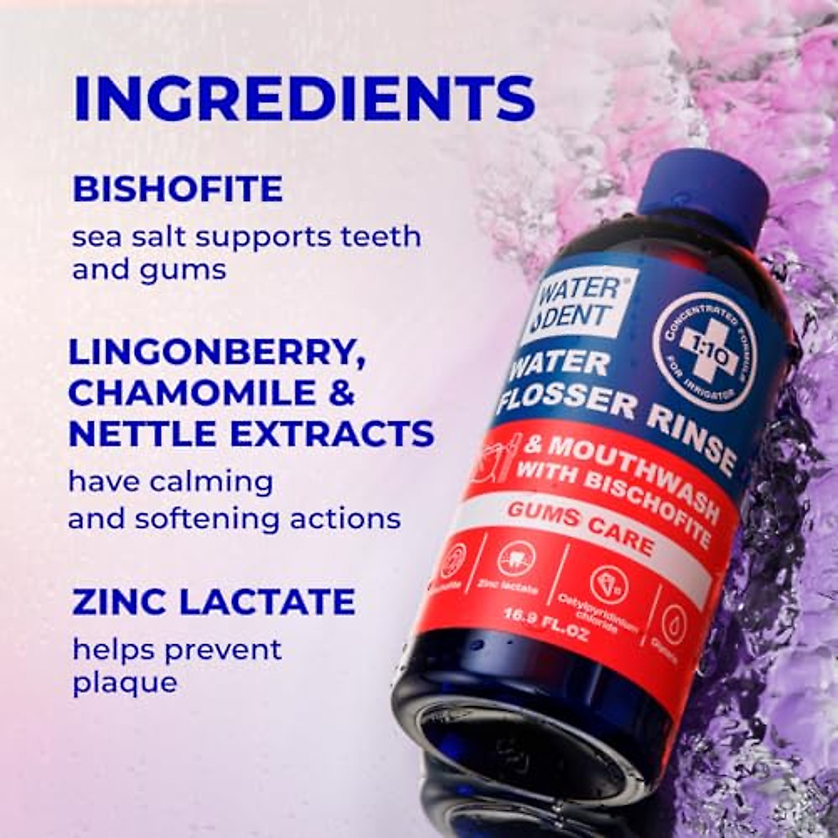 WATER DENT Water Flosser Rinse, Concentrate Mouthwash 1:10, Gum Care, IRRGIANT, Add to Water Flosser, Developed by Dentists, Fruit Flavor (Pack of 2- Value of 372 fl.oz)