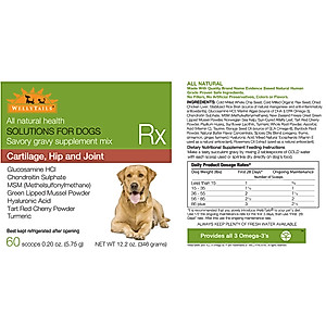 WellyTails Glucosamine Chondroitin MSM Turmeric Dog Joint Supplement for Large Dogs 12.2 oz. (60 Scoops)