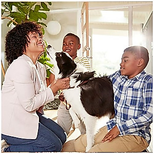 Filtrete 20x20x1 AC Furnace Air Filter, MERV 12, MPR 1500, CERTIFIED asthma & allergy friendly, 3 Month Pleated 1-Inch Electrostatic Air Cleaning Filter, Pack of 2 (Actual Size 19.69x19.69x0.78 in)