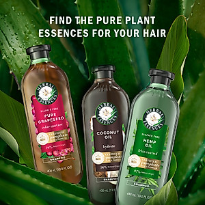 Herbal Essences bio:renew Coconut Milk Hydrating Conditioner, 13.5 fl oz