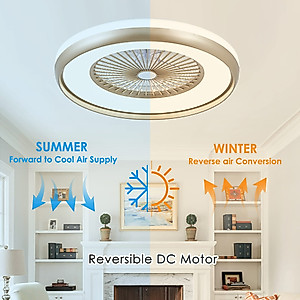 HUMHOLD 24" Low Profile Ceiling Fan with 3-Dimmable Light, Flush Mount Ceiling Fan Lighting Remote & APP Control, 6 Speeds Timing Reversible Blades, Smart Enclosed Ceiling Fan for Bedroom Gold