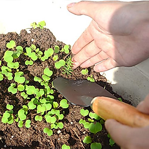 Snow Shovel for Kids - Head Handle Garden 3Pcs Set Shovel Metal Mini Tool Wood Tools Rake Kids Tools & Home Improvement