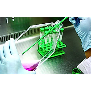 SPL Cell Culture Flask 25 cm² (T25) Filter Cap, Treated, Sterile, 200/Case