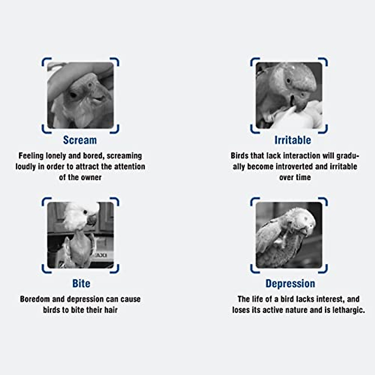 Budgie Toys Rat cage Accessories 18×13×6 pet Hamster Soft Long Climbing Rope Ladder Suspension Bridge for Birds Toy