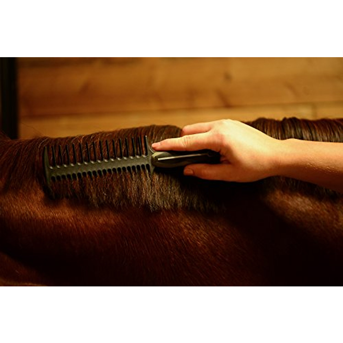 WAHL Professional Animal Equine Grooming Mane and Braiding Horse Comb, Black (858708)