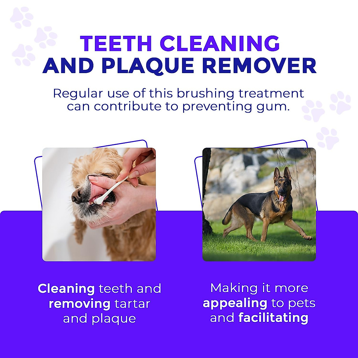 Dale Audrey Ayurvedic Brushing Treatment for Pets | Oral Hygiene Bad Breath Eliminator | Dog Breath Freshener for Teeth Cleaning | Tartar and Plaque Remover Dog Mouth Spray | (Beef)